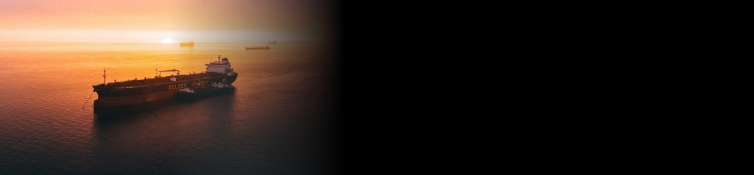 Homepage [www.cti-fwd.com]